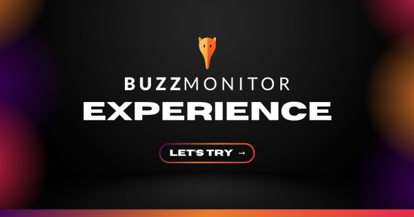 Buzzmonitor Experience